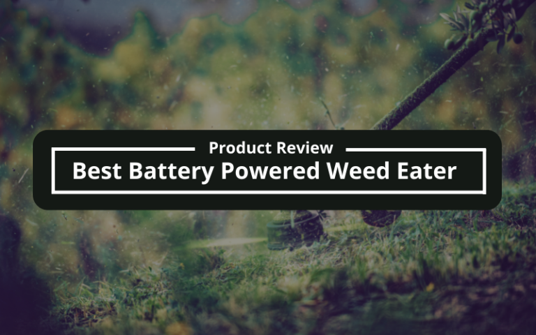Best Battery Powered Weed Eater | Complete Review